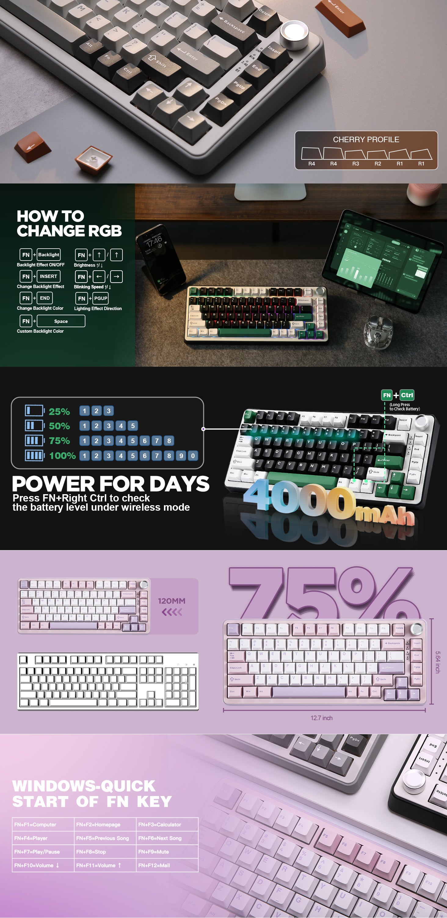 B75 Pro Mechanical Keyboard