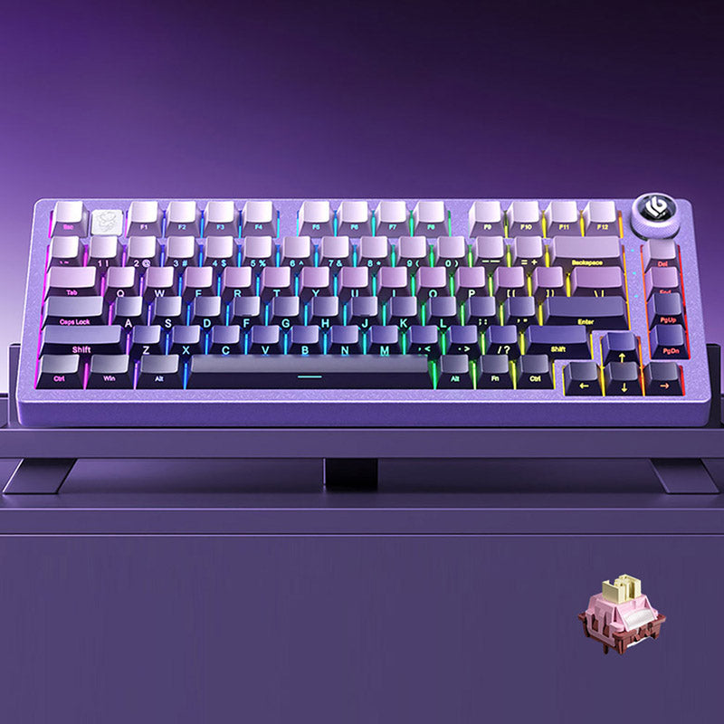 Leobog Hi75 Glitter Aluminum Keyboard Gradient Side-Printed Keycaps ...